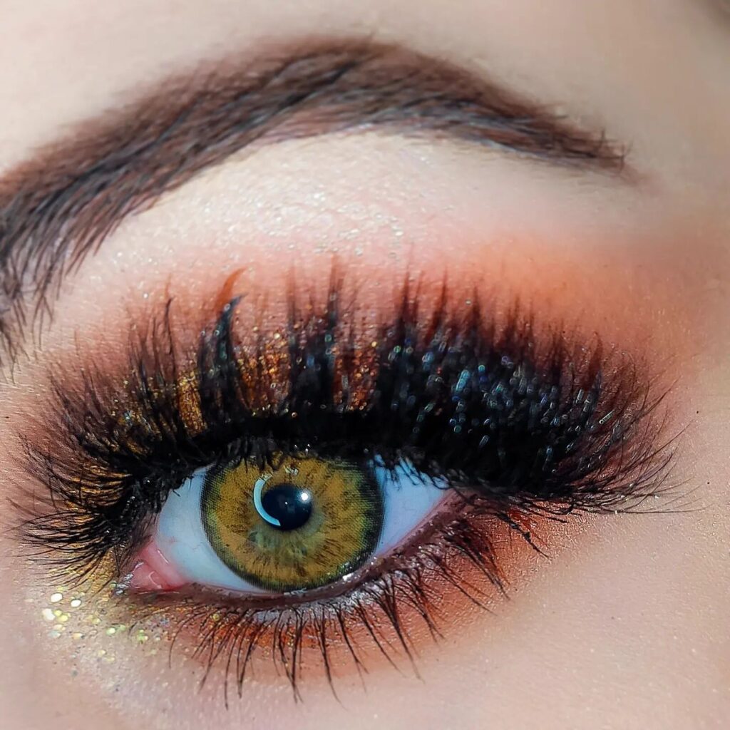 Colored Contact Lenses Guide: Fashion and Comfort Coexist